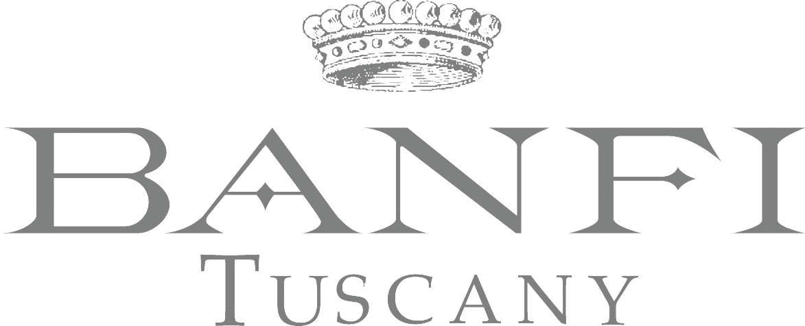 Leader dans la collecte et analyse de données - Wine Services